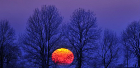 12/22/20 Workshop – A Poem by Hilda Morley – The Simulationist ...